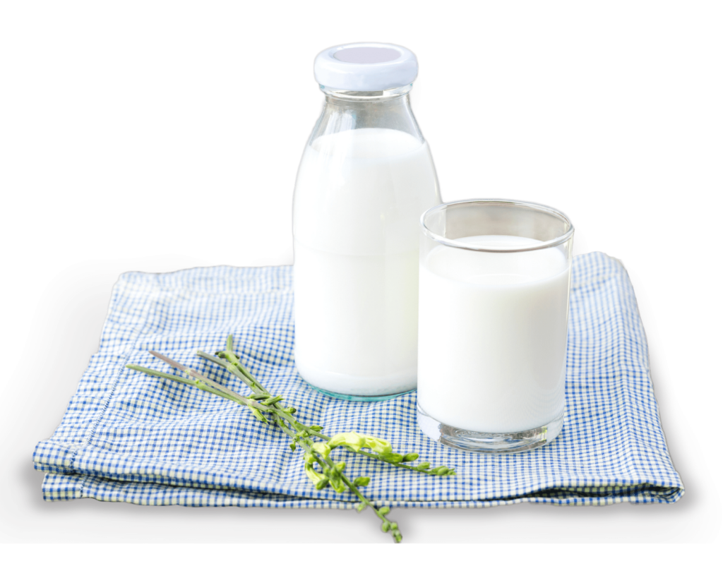 For Every Body - Milk