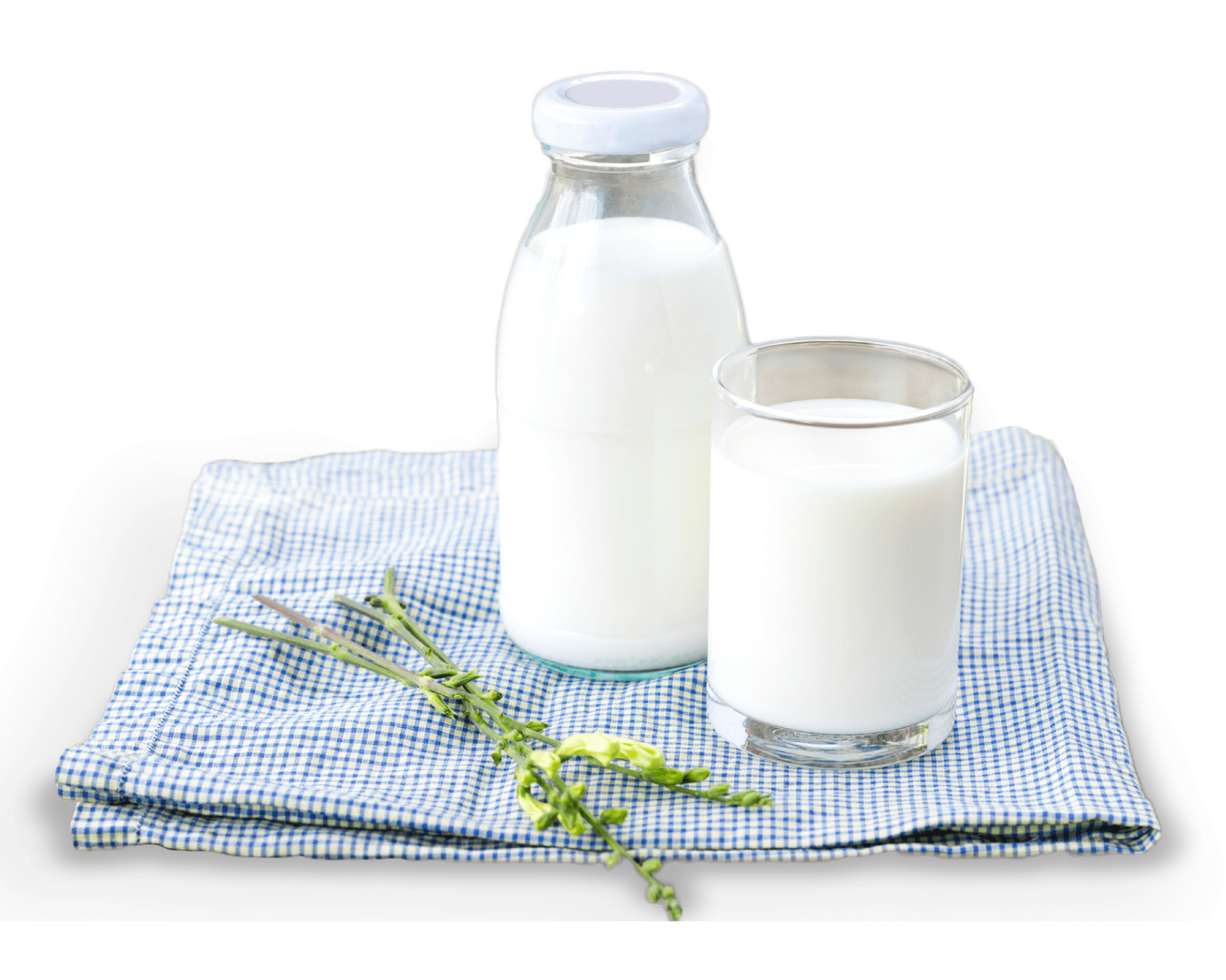 For Every Body - Milk